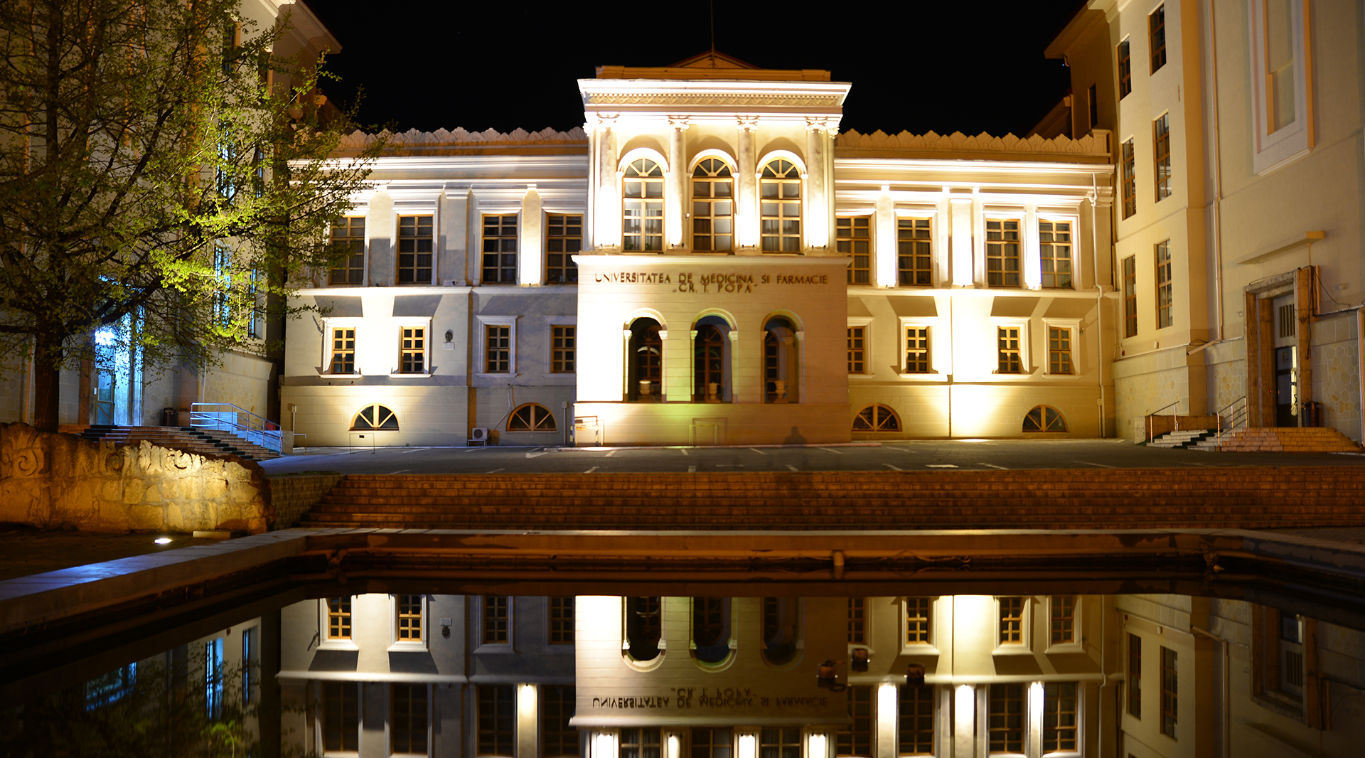 AMSE – THE ASSOCIATION OF MEDICAL SCHOOLS IN EUROPE